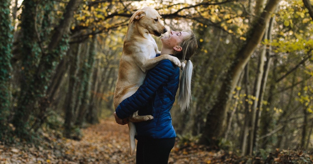 Dog lovers, a study suggests your affection might be in your DNA ...
