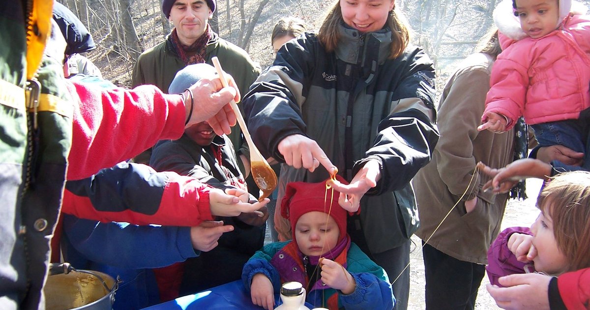 Maple tree tapping demonstrations to be held in Philly's Wissahickon ...