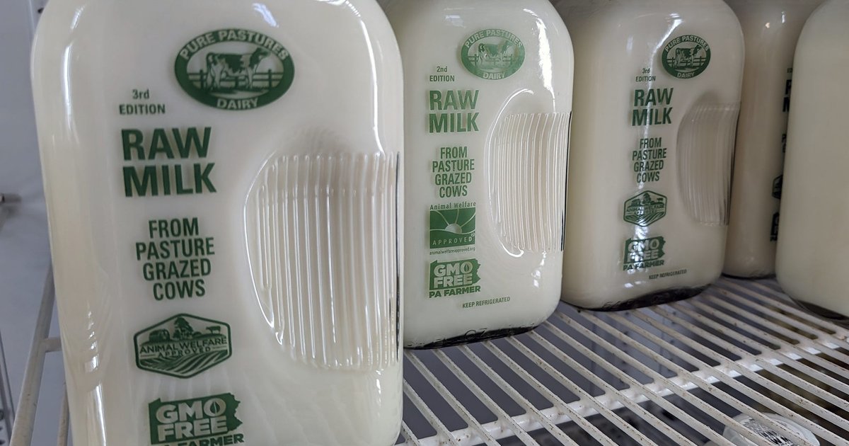 Led by RFK Jr., conservatives embrace raw milk. Regulators say it's dangerous | PhillyVoice