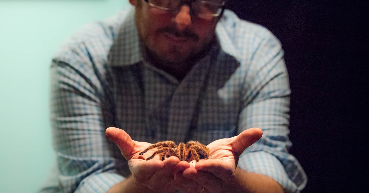 What it feels like to hold a tarantula | PhillyVoice