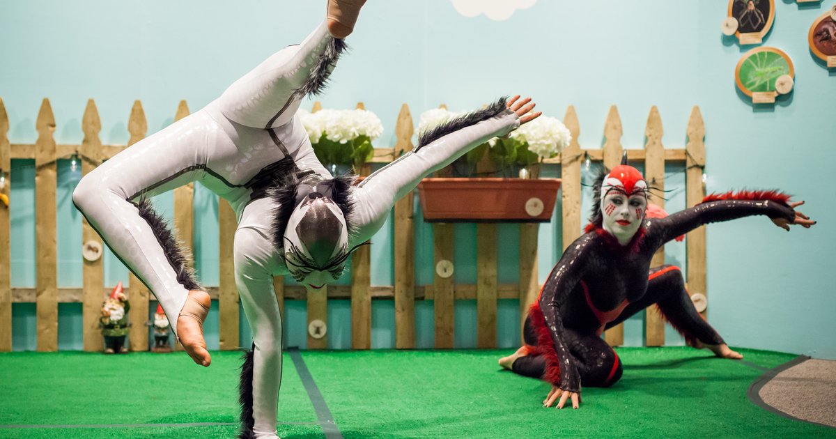 Cirque du Soleil show "OVO" to premiere at Liacouras Center | PhillyVoice