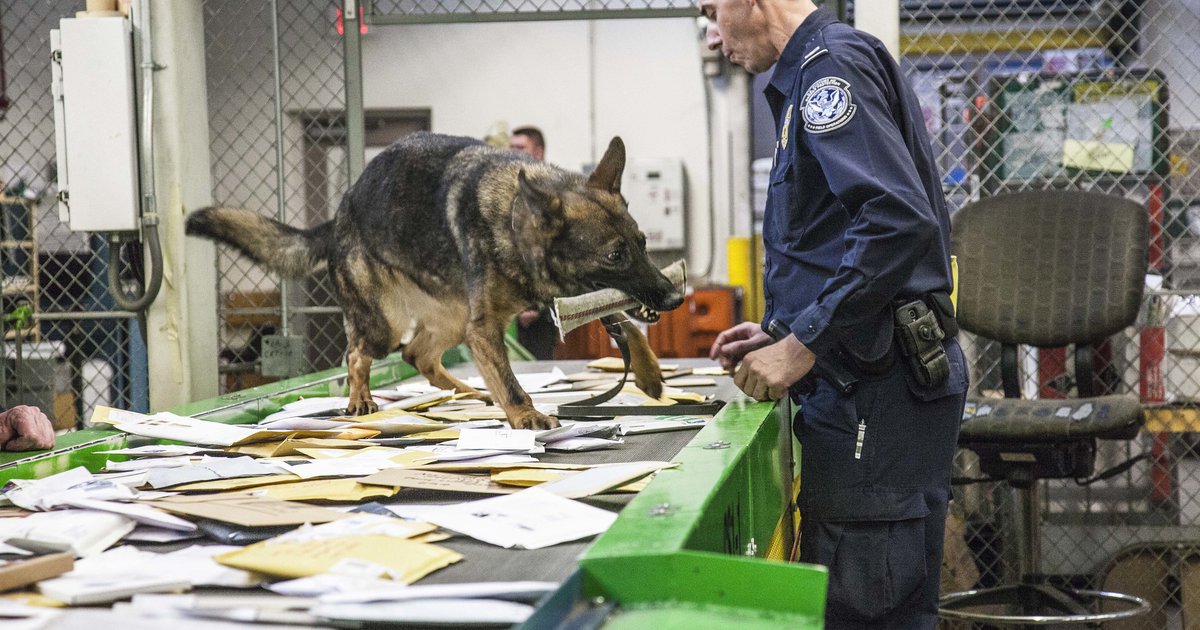 Most illicit drug shipments intercepted by U.S. don't contain opioids ...