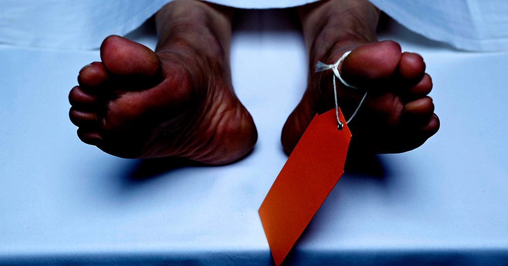 Witness: We found a live rat inside a dead body at Philadelphia Medical ...