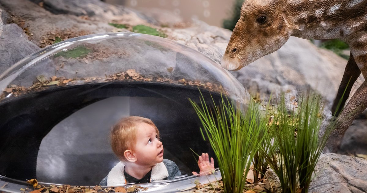 Rowan University dinosaur and fossil museum to open March 29 | PhillyVoice