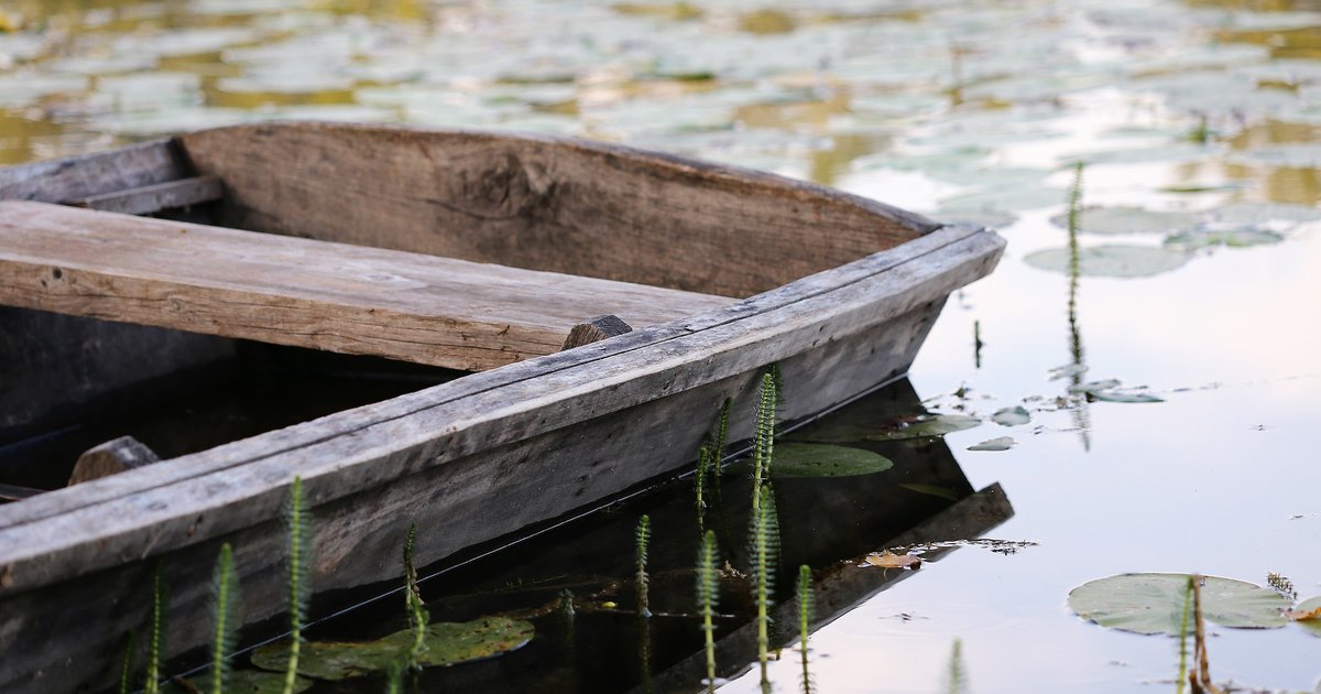 Doylestown man,18, dies after boat capsizes in Lake Henry in Wayne ...