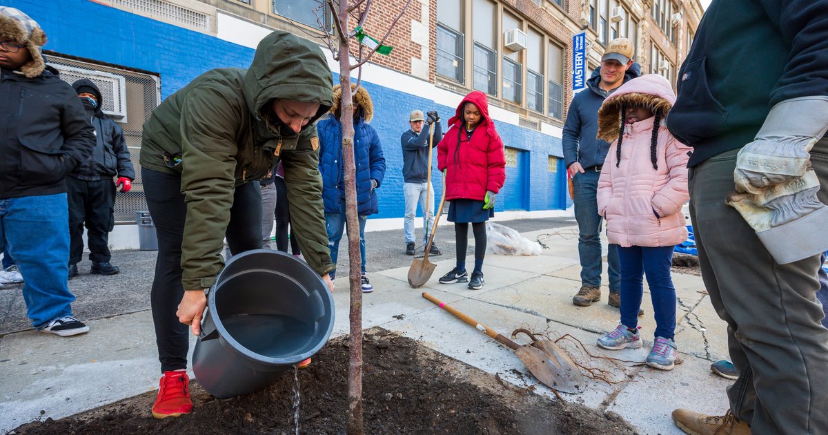Philadelphia tree canopy expansion continues with PHS planting events ...