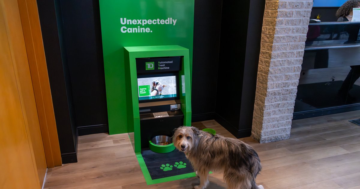 TD Bank installs first ATM for dogs at South Broad location | PhillyVoice