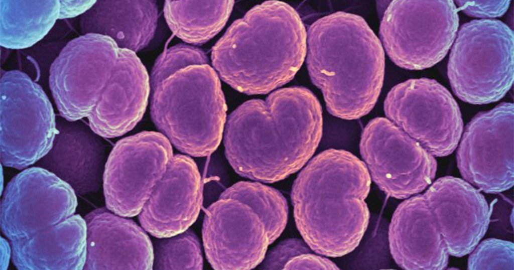 Symptoms of the most common STDs | PhillyVoice
