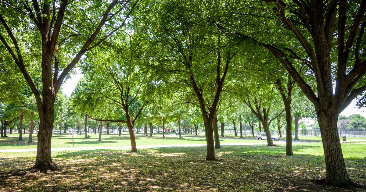 Philadelphia parks drop to 32nd in national ranking, mostly based on ...