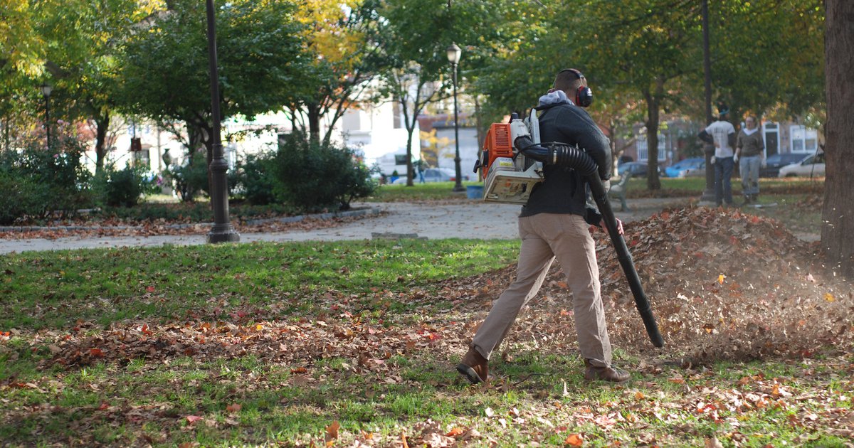 Volunteer in Philadelphia: Help cleanup the city's green spaces during ...