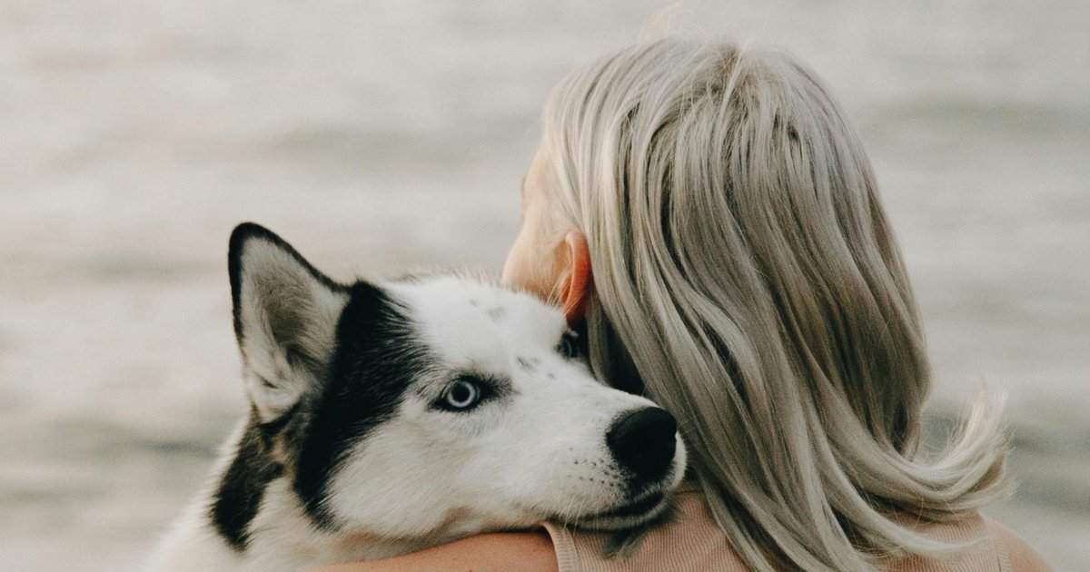 Why hair turns gray and how to care for it | PhillyVoice