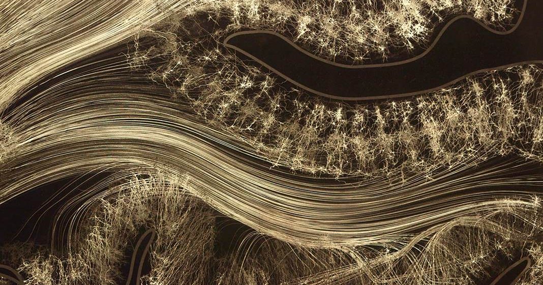 Here's the most complex, detailed depiction of the brain in the world ...