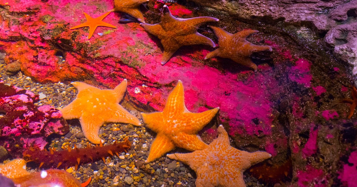 Things to do in Philly this weekend: Under the El street festival ...