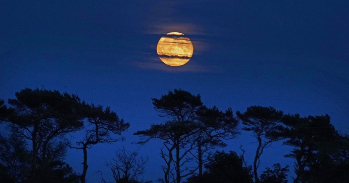 July 16th's Buck Moon is the first full moon of summer: Here's what you ...