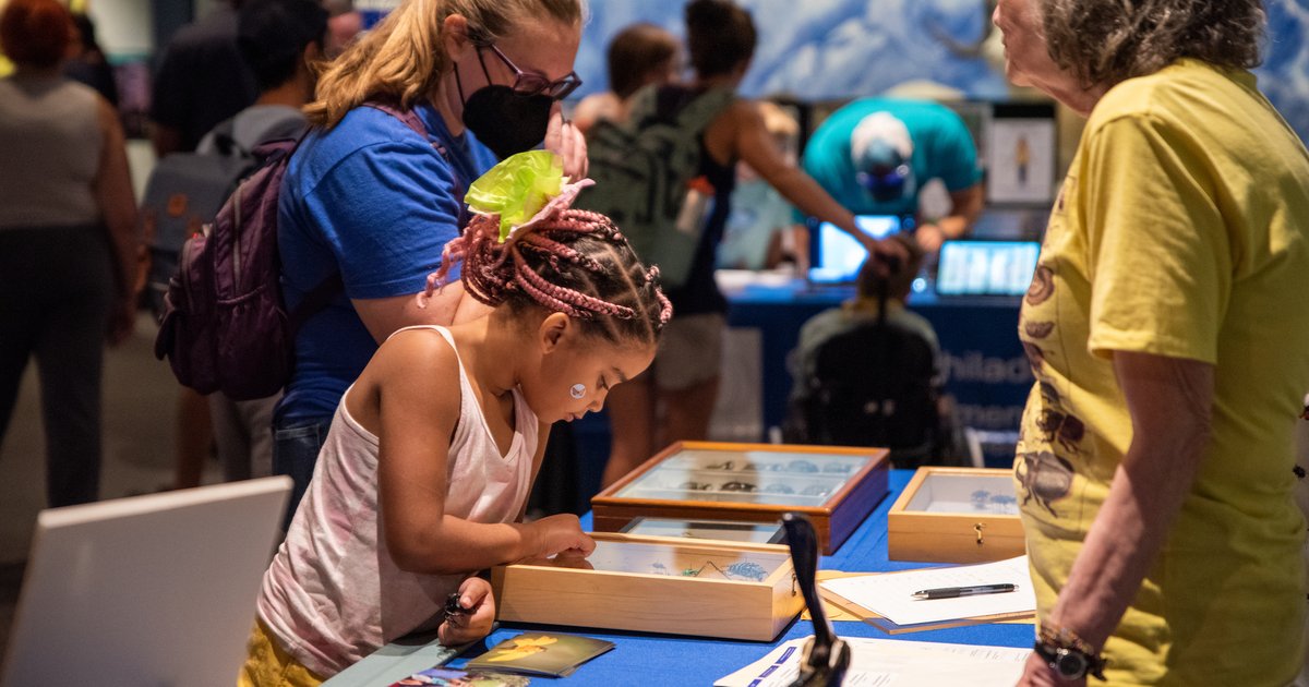 Bug Fest returns to Drexel's Academy of Natural Sciences from Aug. 10 ...