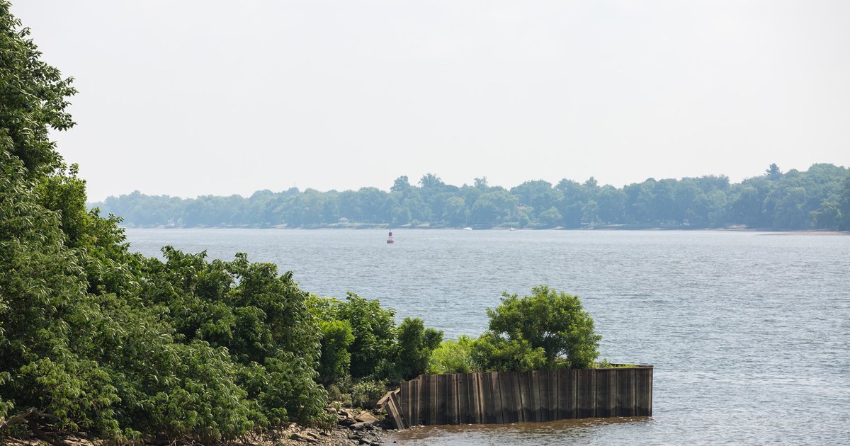 Police investigating death of Darnell Dogan, found dead in Delaware ...