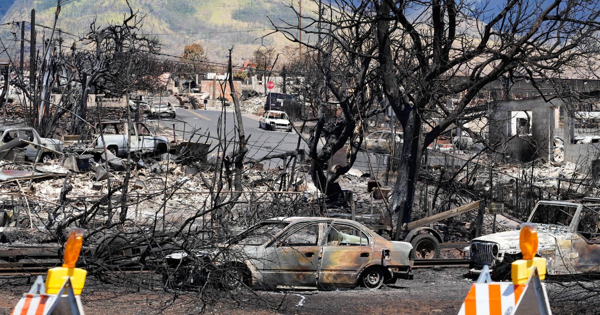 How to help Maui fire victims; Pennsylvania sends rescue team | PhillyVoice