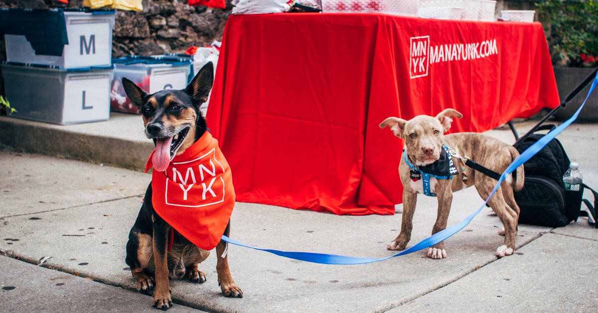 Dog Day of Summer festival in Manayunk to benefit Street Tails Animal ...