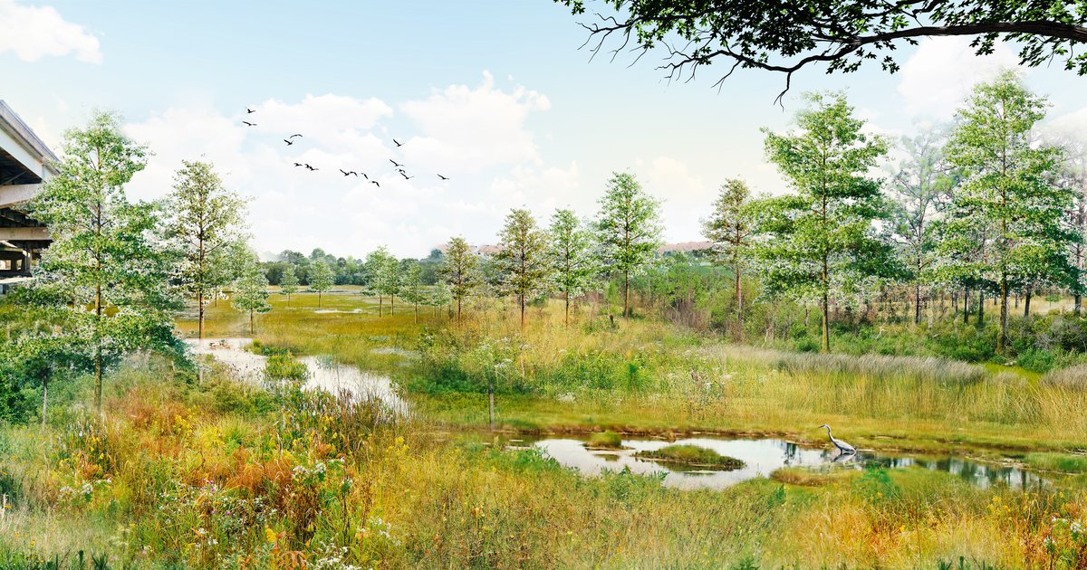 33-acre native wetland coming to FDR Park as part of ongoing ...