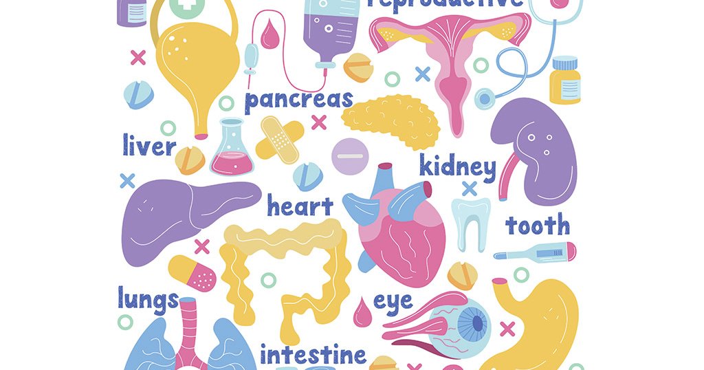 Stem cells could regenerate organs – but only if the body won't reject ...