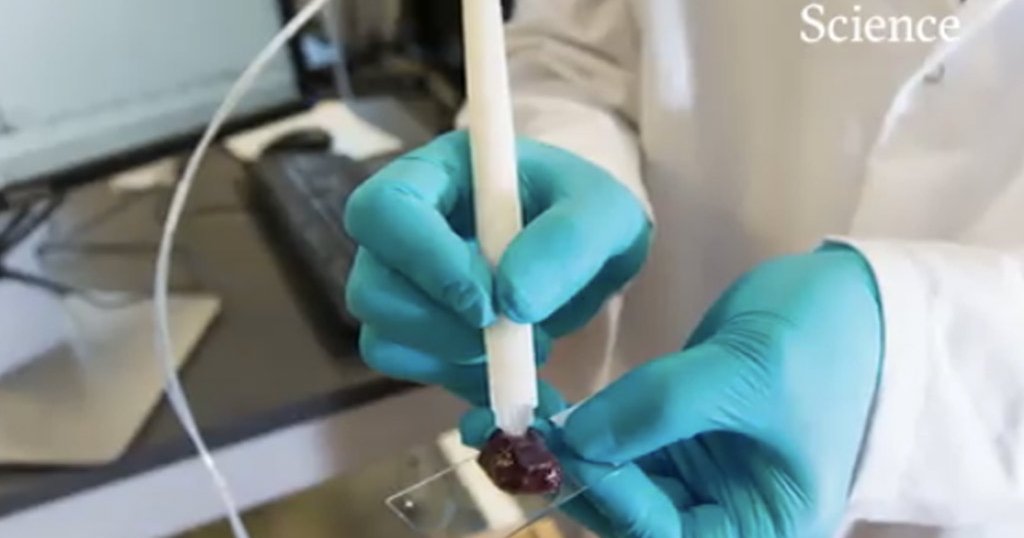 Scientists: New device accurately identifies cancer in seconds ...