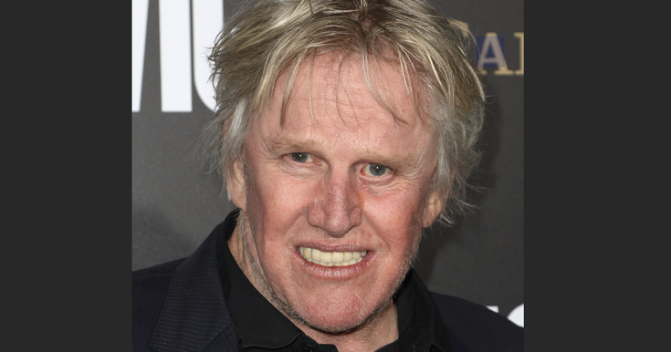 Gary Busey sexual misconduct allegations: New Jersey authorities ...