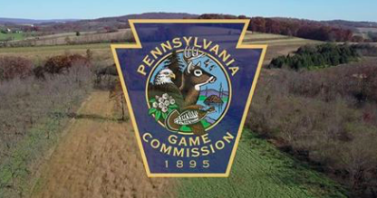 Pennsylvania bobcat photo wins state game commission's trail cam ...