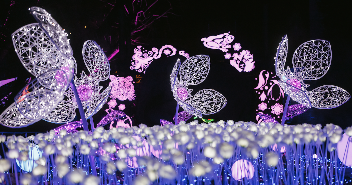 Philadelphia Zoo 's holiday light display LumiNature to return in ...