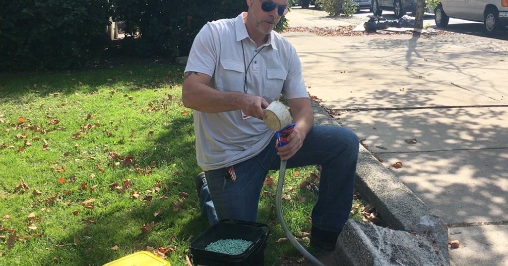 In Philly, he wages war on a never-ending tide of rats | PhillyVoice