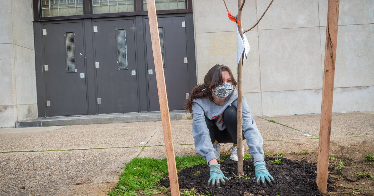 Pennsylvania Horticultural Society hosting planting events to improve ...