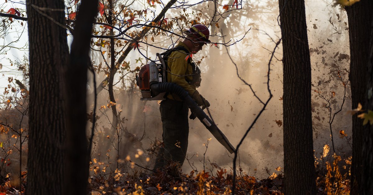 New Jersey wildfires: Red flag warning issued as drought conditions ...