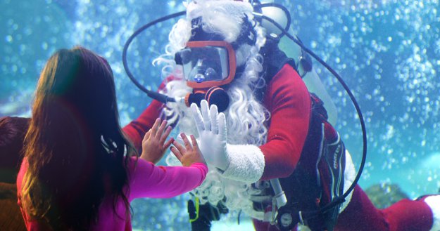 ‘Christmas Underwater’ at Adventure Aquarium lets kids explore with ...