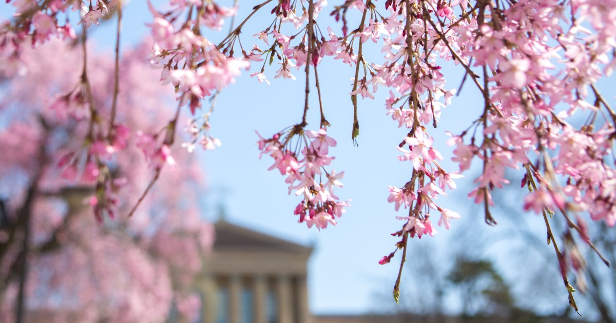 Capturing spring with your camera: What you should know for post-worthy ...