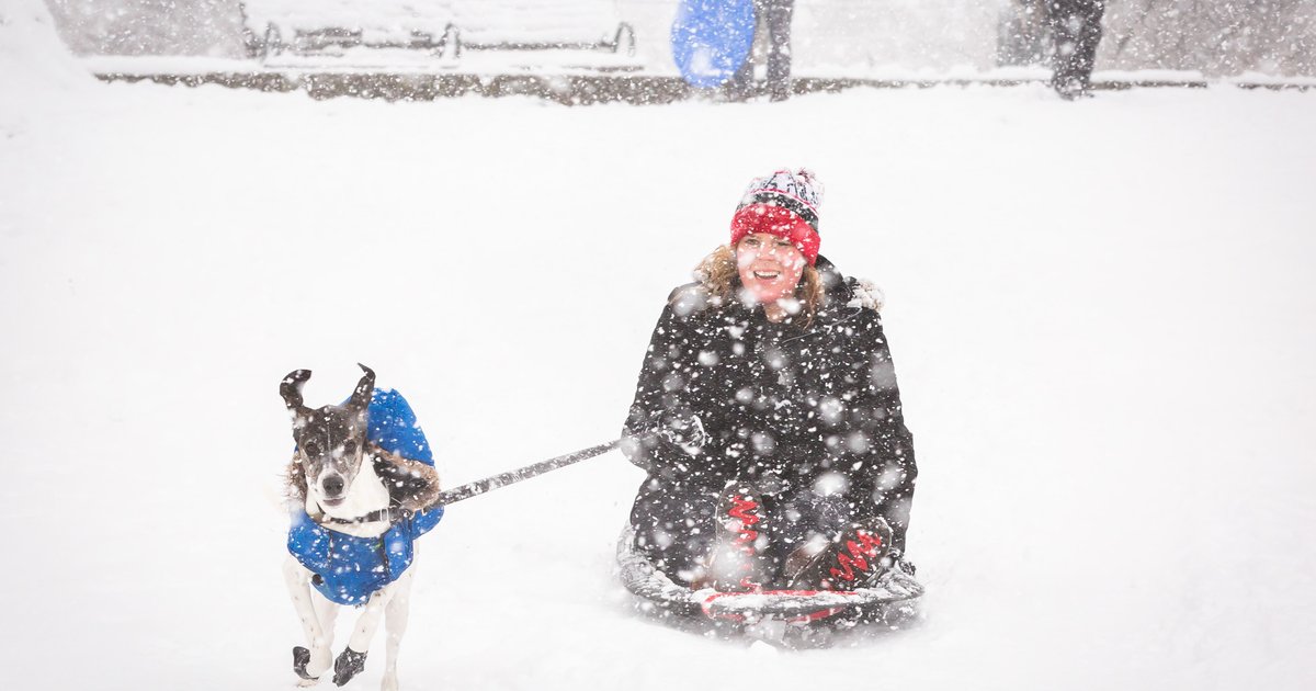 Winter Storm Toby – in photos | PhillyVoice