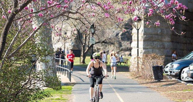 Five traffic-free Philly bike routes you need to try | PhillyVoice
