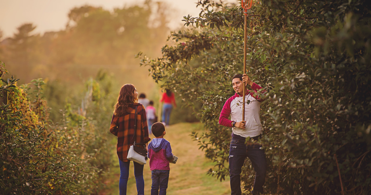 Apple Festival returns to Linvilla Orchards Sept. 27 with fall ...
