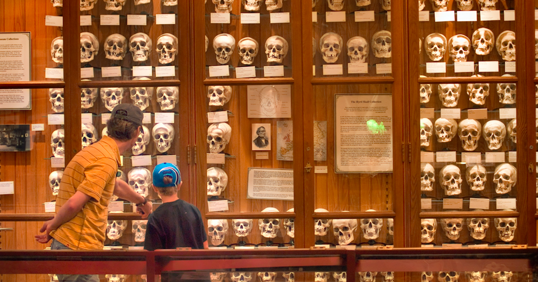 Photography exhibit at Mütter Museum shows rarely seen specimens and ...