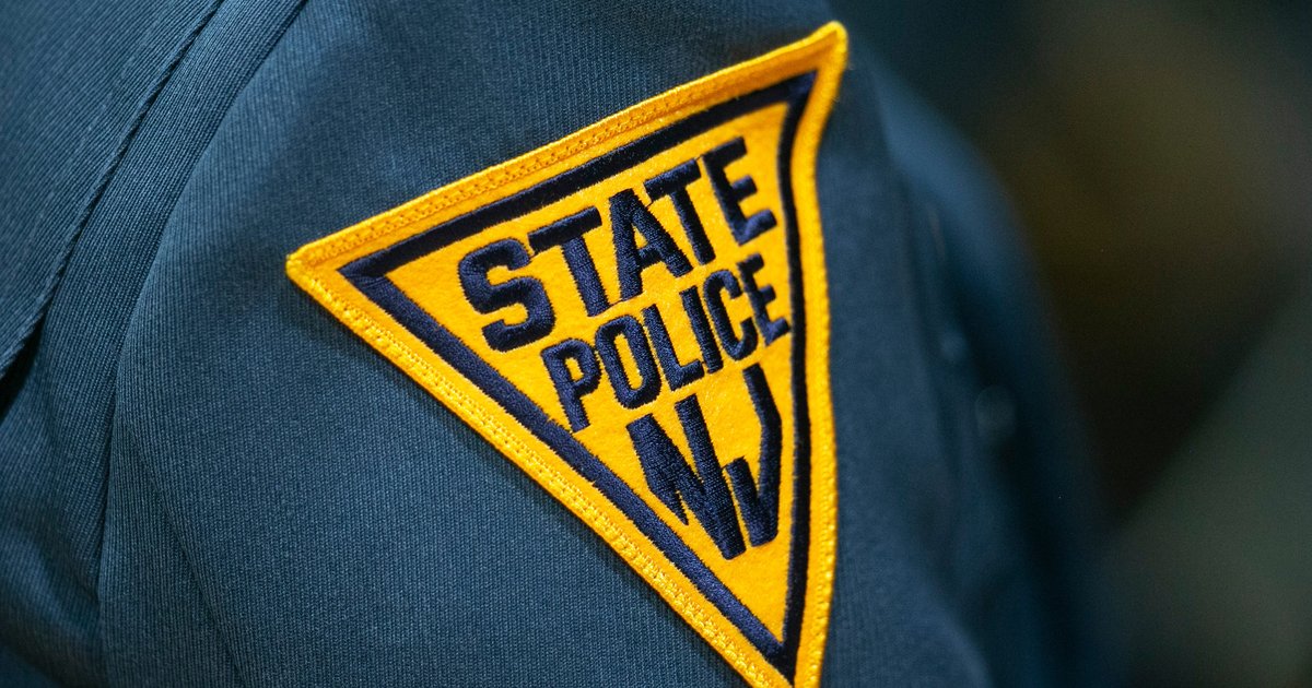 Ex-New Jersey trooper Nicholas Hogan pleads guilty to punching ...