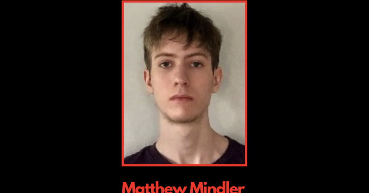 Matthew Mindler, former child actor known for 'Our Idiot Brother' role ...