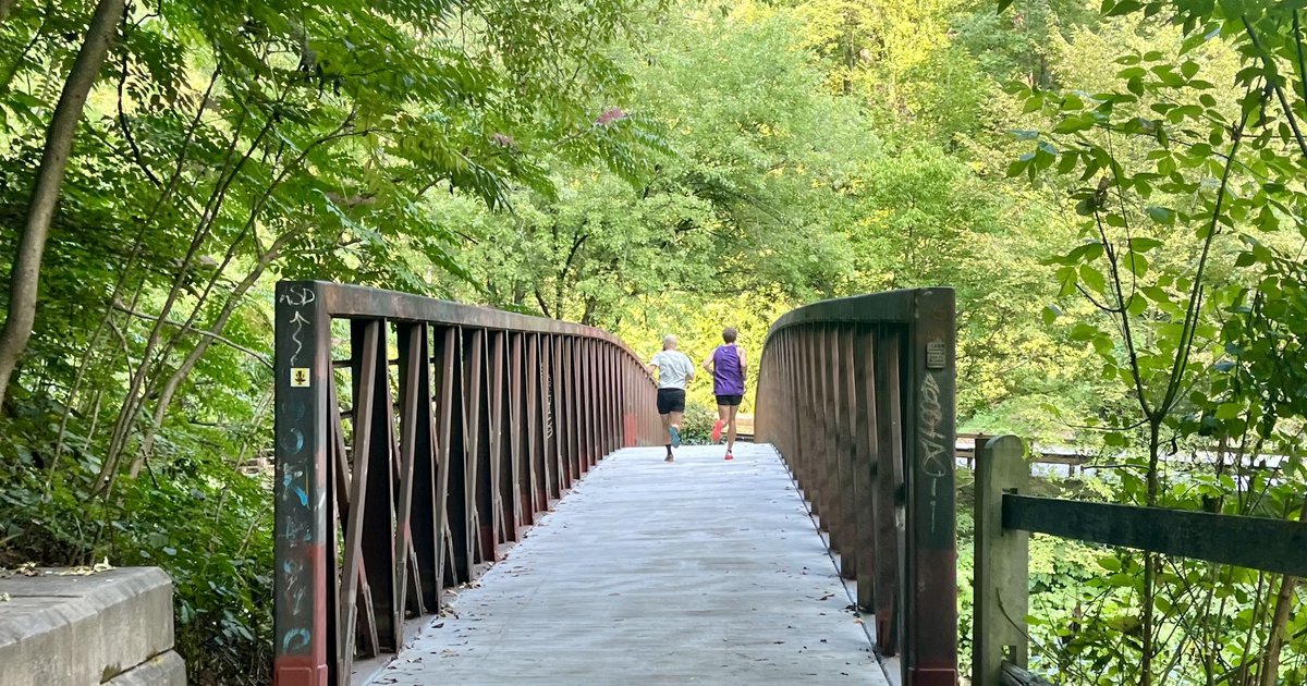 Wissahickon Vally Park bridges reopen after $1.2 million renovation project | PhillyVoice