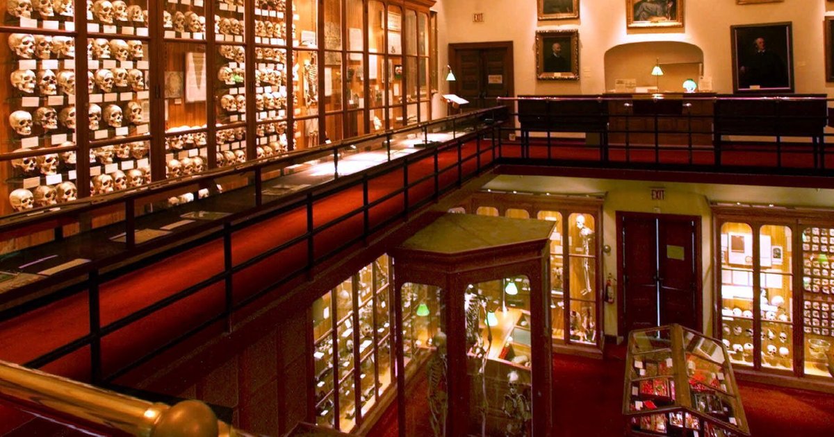 Mutter Museum Refreshment Saloon: Try dishes from the Civil War at ...