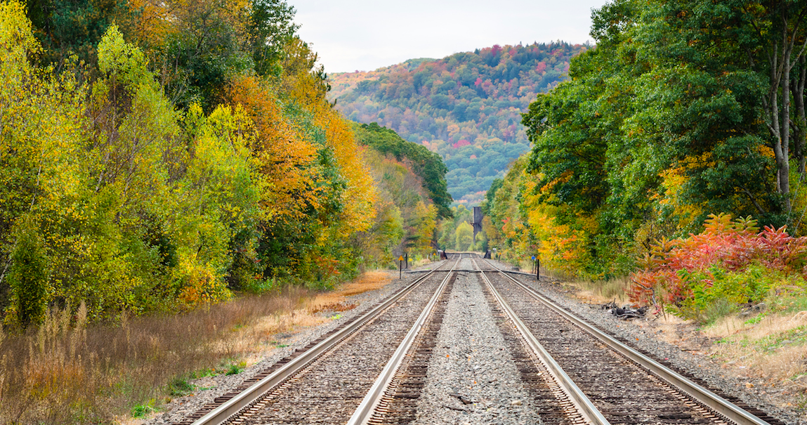 Fall Foliage Excursion: Enjoy autumn's beauty on a train ride through ...