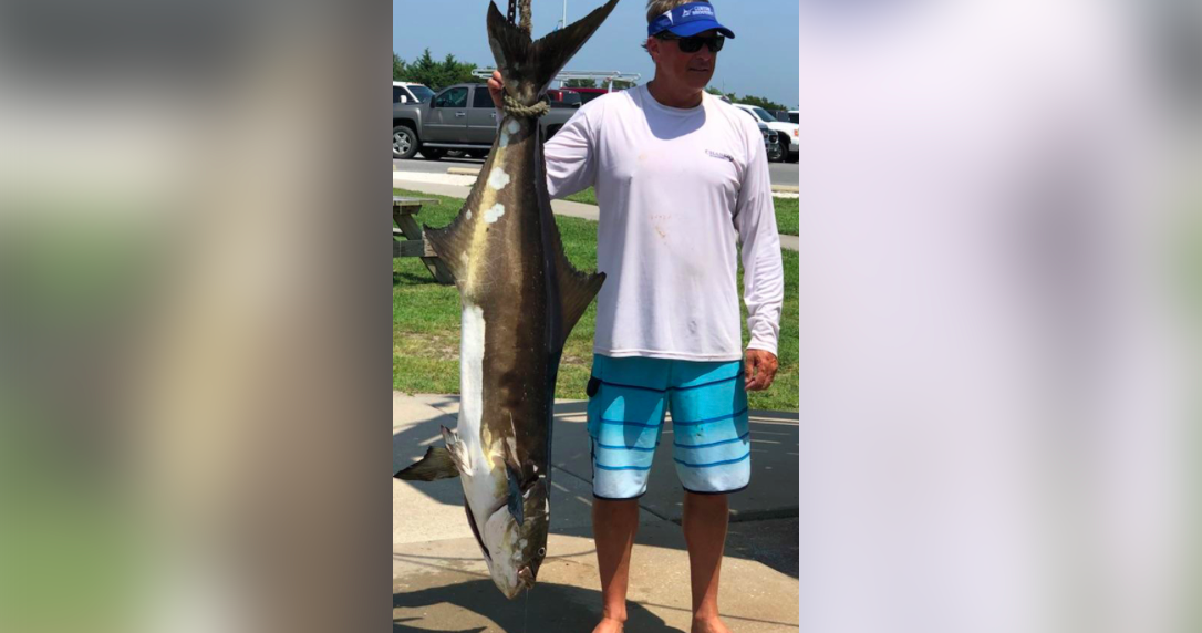 Delaware fisherman sets state record with massive 79-pound cobia catch ...