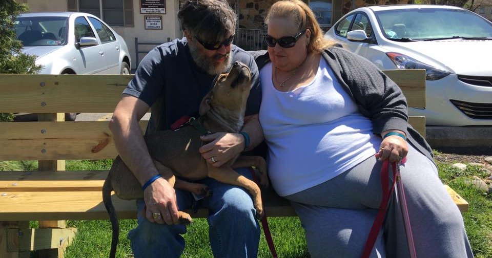 Upper Darby dog found with gruesome neck injury gets new home | PhillyVoice Upper Darby dog found with gruesome neck injury gets new home | PhillyVoice