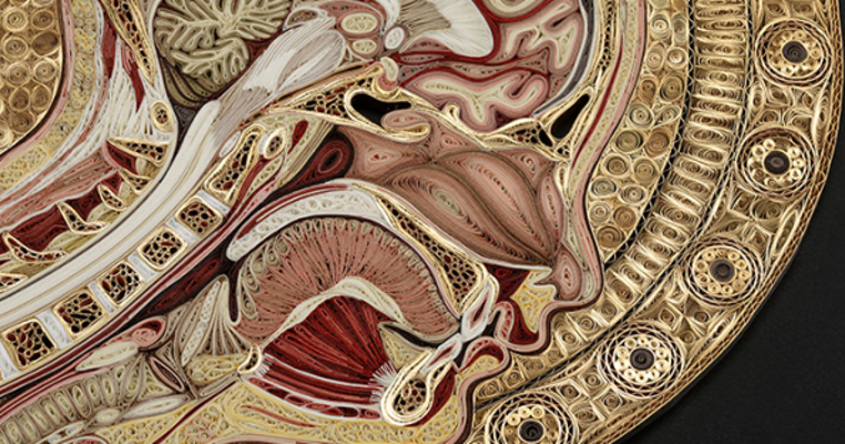New art exhibit 'Connective Tissue' opening at Mutter Museum | PhillyVoice