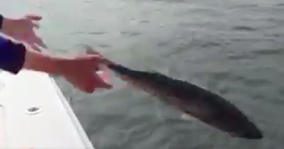 N.J. fisherman feels 'terrible' about rage over apparent culling video ...