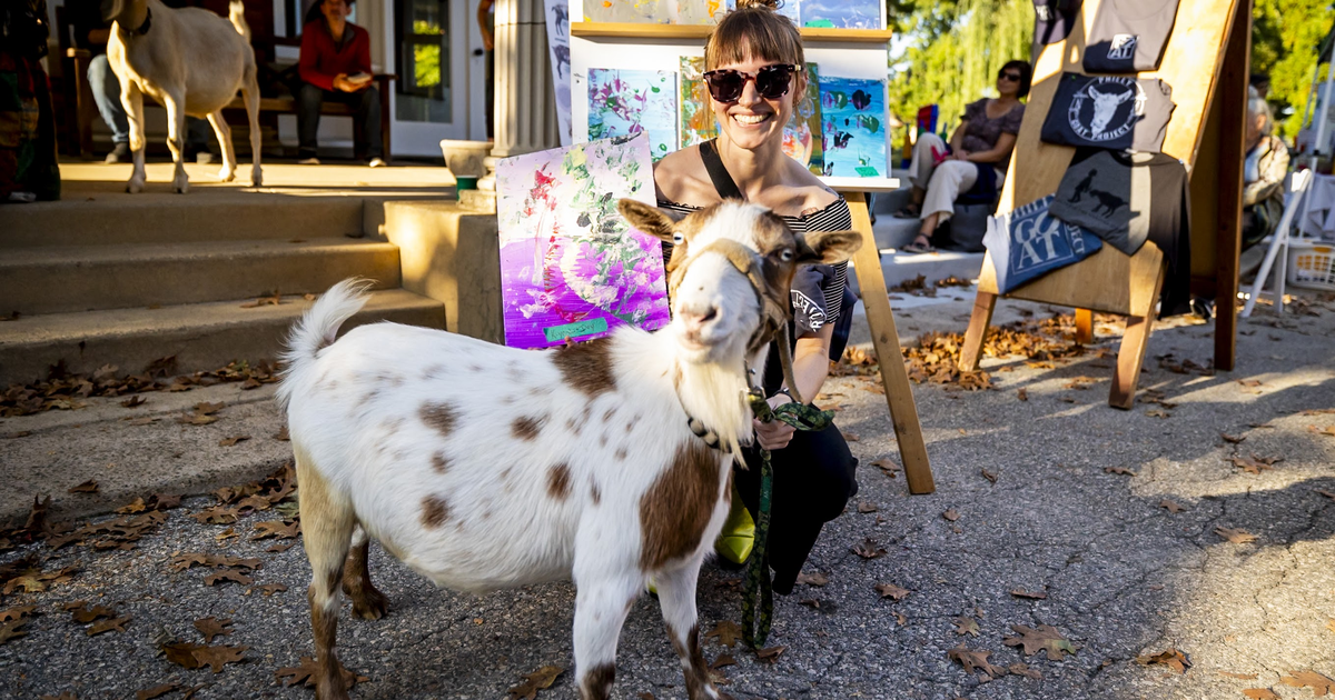 GOAToberFest celebrates fall with goats, drag and community spirit ...