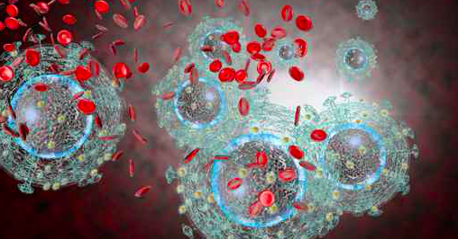 In breakthrough, Temple researchers remove HIV-1 from human T-cells ...