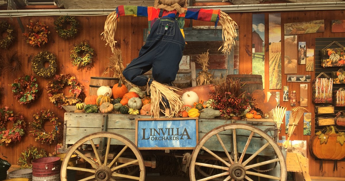 Pumpkinland at Linvilla Orchards | PhillyVoice