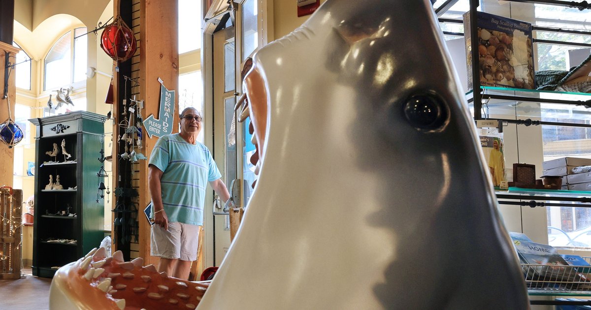 'Jaws' Theme: How Two Notes Changed Hollywood Forever (50 Years Later ...